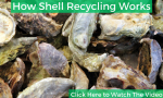 Oyster Shell Recycling | Charleston Oyster Roast Catering
